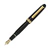 Platinum Fountain Pen #3776 Century Fine Point Laurel Green PNB-15000 ...