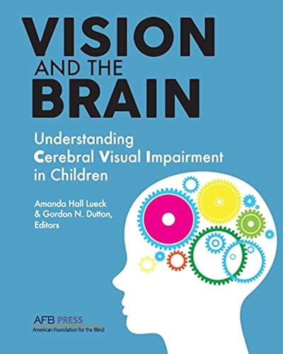 Vision and the Brain: Understanding Cerebral Visual Impairment in ...