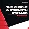 The Muscle and Strength Pyramid: Nutrition: Helms, Eric Russell, Morgan ...