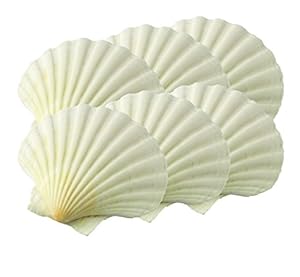 Amazon.com: HIC Natural Baking Shells, 3.25-Inches: Kitchen & Dining