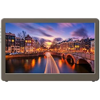 Amazon.com: ASUS MB169B+ 15.6" Full HD 1920x1080 IPS USB Portable ...
