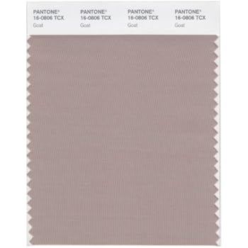 PANTONE Smart 13-0401X Color Swatch Card, Oatmeal - House Paint ...