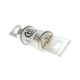 Cooper Bussmann FWH-100B 100 Amp 500 VAC Tag Fuse: Cartridge Fuses ...