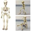 Amazon.com: Pose skeleton man (1) by Re-Ment: Toys & Games