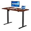 Flexispot Electric Standing Desk 48 x 30 Inches Height Adjustable Desk ...
