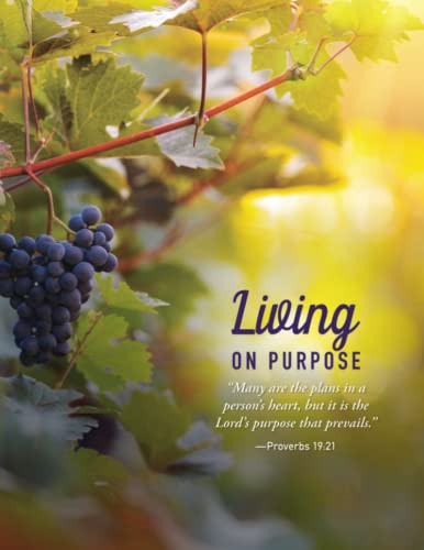 Living On Purpose Journal: Fry, Heather, Stephens, Mindy: 9780578356402 ...