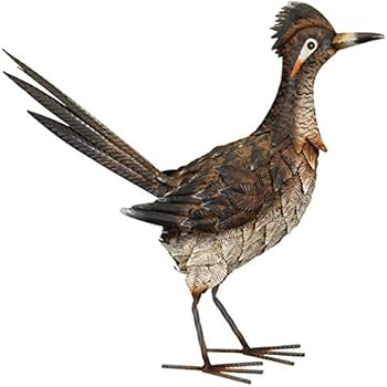 Amazon.com : Roadrunner Metal Yard Art Sculpture Garden Statue : Garden ...