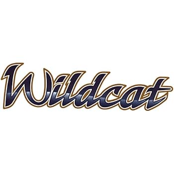 Amazon.com: 1 Rv Trailer Wildcat Logo Decal Graphic -727-2: Automotive