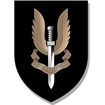 Amazon.com: American Vinyl Air Force Security Forces Defensor Fortis ...