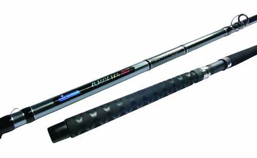 Best Trolling Rods of 2021 – Complete Round-up