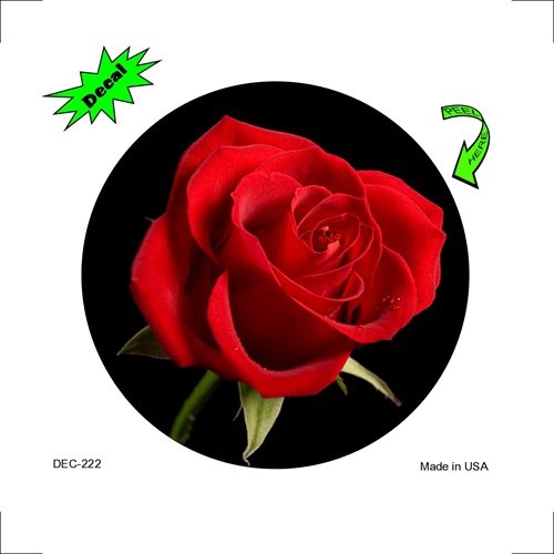 Amazon.com: RED ROSE VINYL DECAL: Home & Kitchen