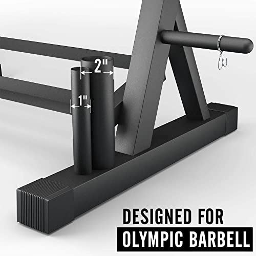 Dumbbell Rack Multifunctional Weight Stand for Home Gym Suitable for ...