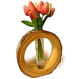 Natural Tree Trunk Flower Vases