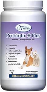 Probiotic 8 Plus - Probiotics, Enzymes, and Fibre for Healthy Digestive ...