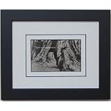 Amazon.com: Postcard Frame for Two (2) 3.5" X 5.5" Postcards Black ...