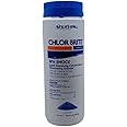 Amazon.com: Leslie's Chlor Brite Sanitizer Spa Shock 2 Lbs