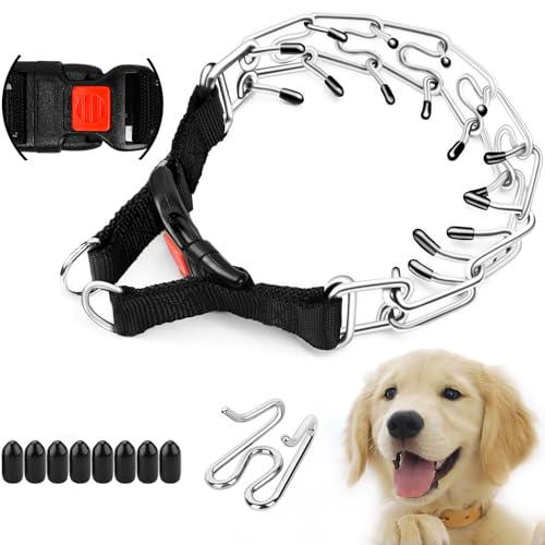 The Best Pinch Collar For Dogs In 2024 - Dogtime