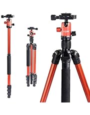 Amazon.com: Tripods & Monopods: Electronics: Complete Tripods, Monopods ...