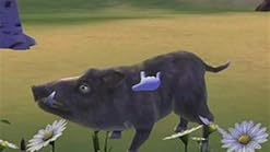 Amazon.com: SimAnimals Africa - Nintendo Wii : Video Games