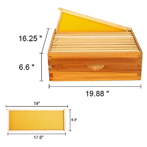 Honey Lake 10 Frame Bee Hive, Bee Hives Boxes Starter Kit Dipped In 100 ...