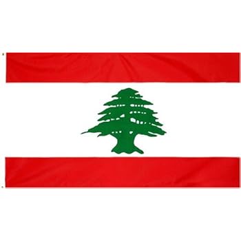 Amazon.com : Lebanon Flag 3 x 5 NEW Lebanese 3x5 National Banner ...