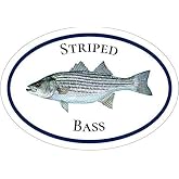 Amazon.com - Striped Bass 2.0 Beautiful Fish Decal | Fishing Decal for ...