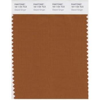 PANTONE SMART 18-1154X Color Swatch Card, Glazed Ginger - Wall Decor ...