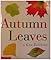 Autumn Leaves: Ken Robbins: 9780439131438: Amazon.com: Books
