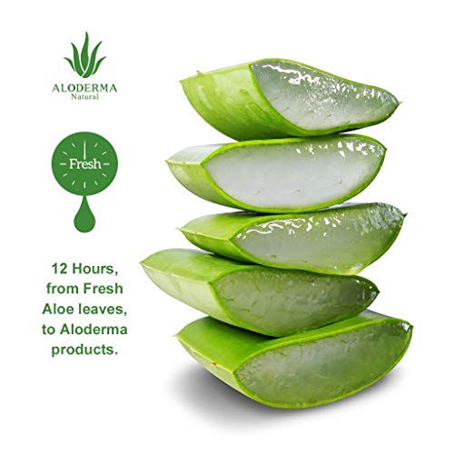 ALODERMA Aloe Brightening Serum Refine Skin Texture, Even Skin Tone ...