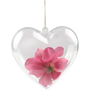 Amazon.com: Package of 12 Clear Plastic Acrylic Fillable Heart Shaped ...