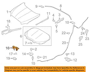 Amazon.com: Jaguar OEM 12-15 XJ Hood-Safety Catch Latch Lock C2D24409 ...