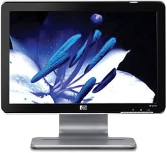 Amazon.com: HP W1707 17-inch LCD Monitor: Computers & Accessories