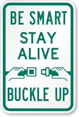 Be Smart Stay Alive Buckle Up Sign, 18" x 12": Yard Signs: Amazon.com ...