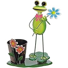 Amazon.com: frog pad for pool