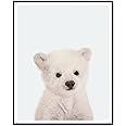 Amazon.com: Blessed Posters Cute Polar Bear Wall Art - Animal Wall ...