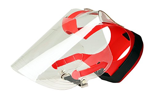 5 Best E-Collars for Dogs: Helping With Healing (2019 Reviews)