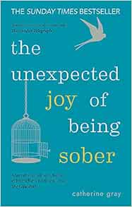 The Unexpected Joy of Being Sober: Discovering a happy, healthy ...