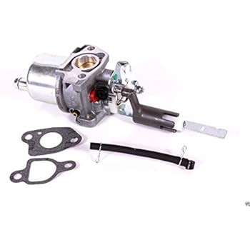 Amazon.com: LCT Lauson Genuine 43201 Carburetor for L12D 414cc Snow ...