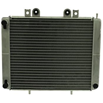 Amazon.com: Polaris ATV Radiator fits 600 & 700 Sportsman with OEM ...
