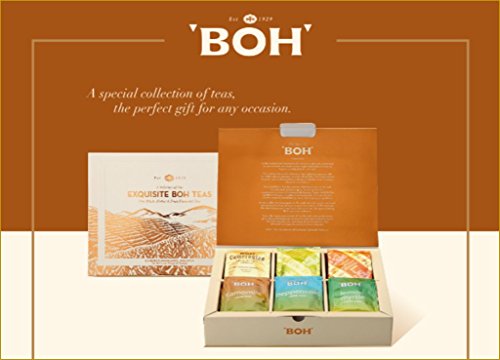 BOH Tea Variety Gift Pack Cameronian Black, Lime Ginger Tea, Lemon ...