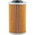 Amazon.com: Hiflofiltro HF556 Premium Oil Filter : Everything Else