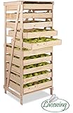 Primrose 10 Drawer Space Saving Wooden Apple Storage Rack H156cm x ...