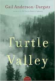 Turtle Valley: Anderson-Dargatz, Gail: 9780676978858: Books - Amazon.ca