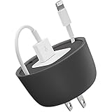 Amazon.com: Quirky Powercurl V2 POP 45W Wire Organizer, Black (PPRCP ...