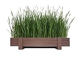 New York City Water Tower Wheatgrass Planters