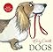Dogs: Amazon.co.uk: Emily Gravett, Emily Gravett: 9780230712485: Books