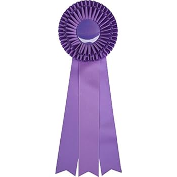 Amazon.com: Giant Premium Purple Ribbon Award Rosette - for Prize ...