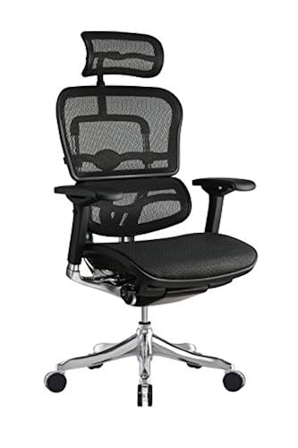 Eurotech Ergo Elite High Back, Black Mesh Executive Office Desk Chair ...