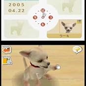 Nintendogs - Chihuahua & Friends: Nintendogs: Amazon.co.uk: PC & Video Games