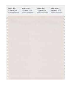 PANTONE Smart 11-0603X Color Swatch Card, Pastel Parchment - House ...